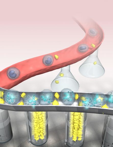 Scientific cover picture illustration services | Cell Press Archives ...