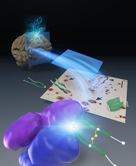 Scientific cover picture illustration services | ACS Chemical ...