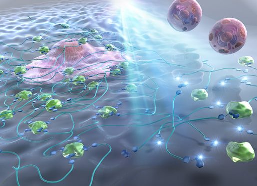 Scientific cover picture illustration services | Biomaterials Science ...