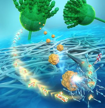 Scientific cover picture illustration services | ACS Applied Nano ...