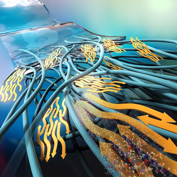 Scientific cover picture illustration services | Biomacromolecules, 9 ...